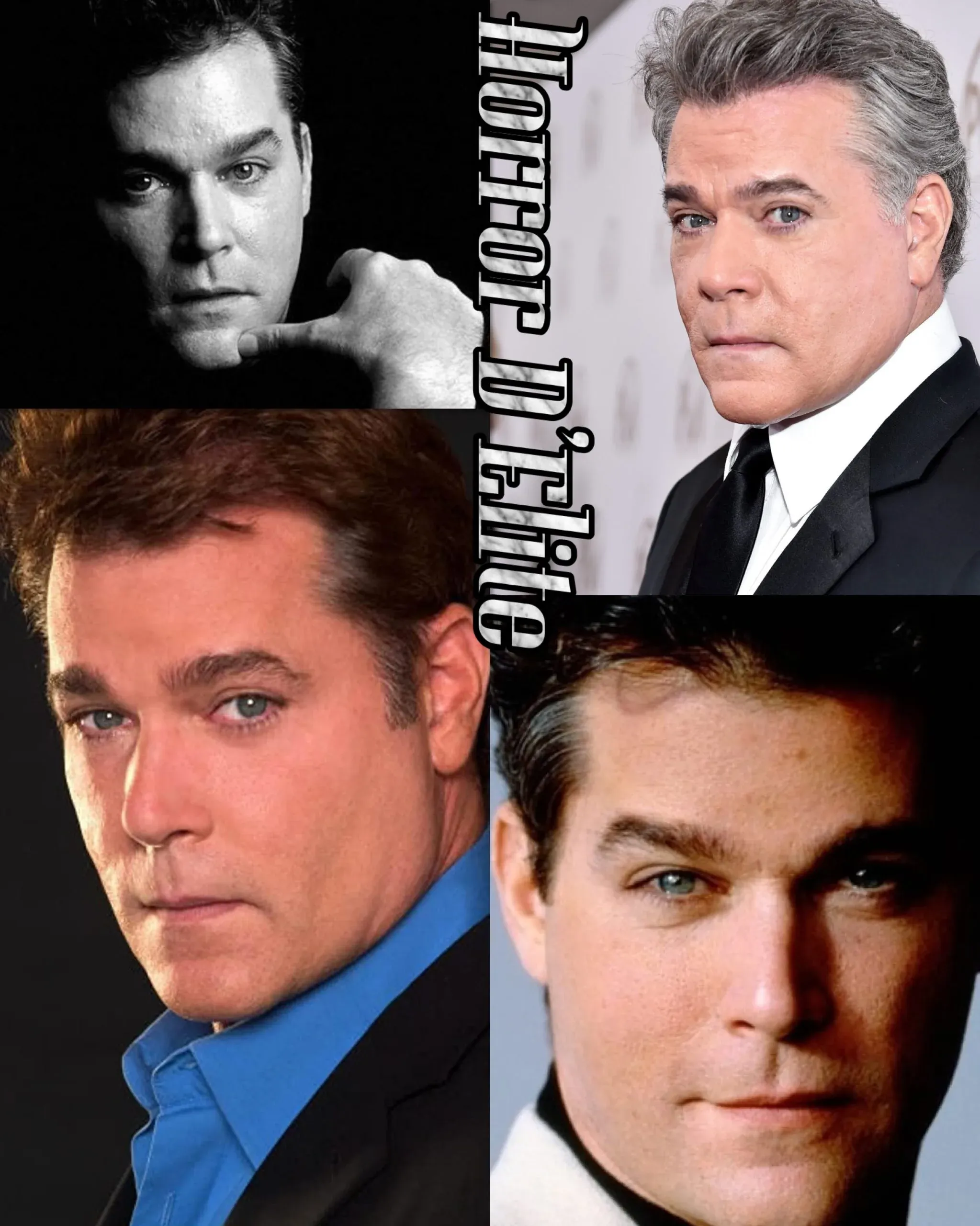 RIP Ray Liotta - Horror d'Elite