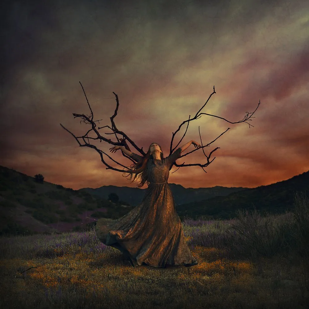 Top 10 Horror Photographers: A Journey into the Darkness of Photography ...