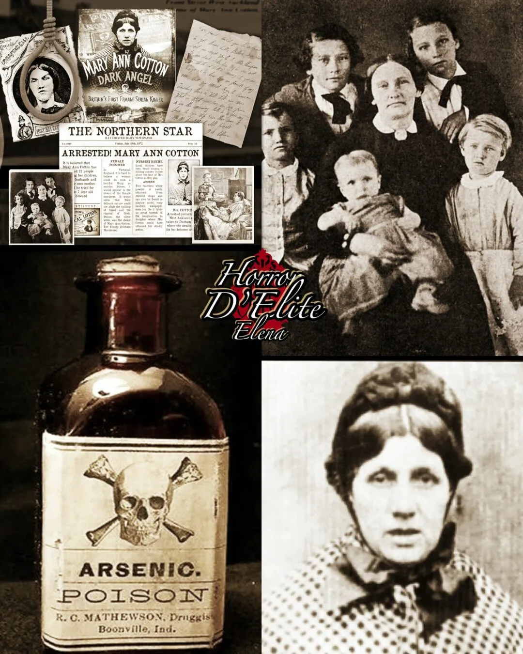 Mary Ann Cotton: The First British Serial Killer - Horror d'Elite