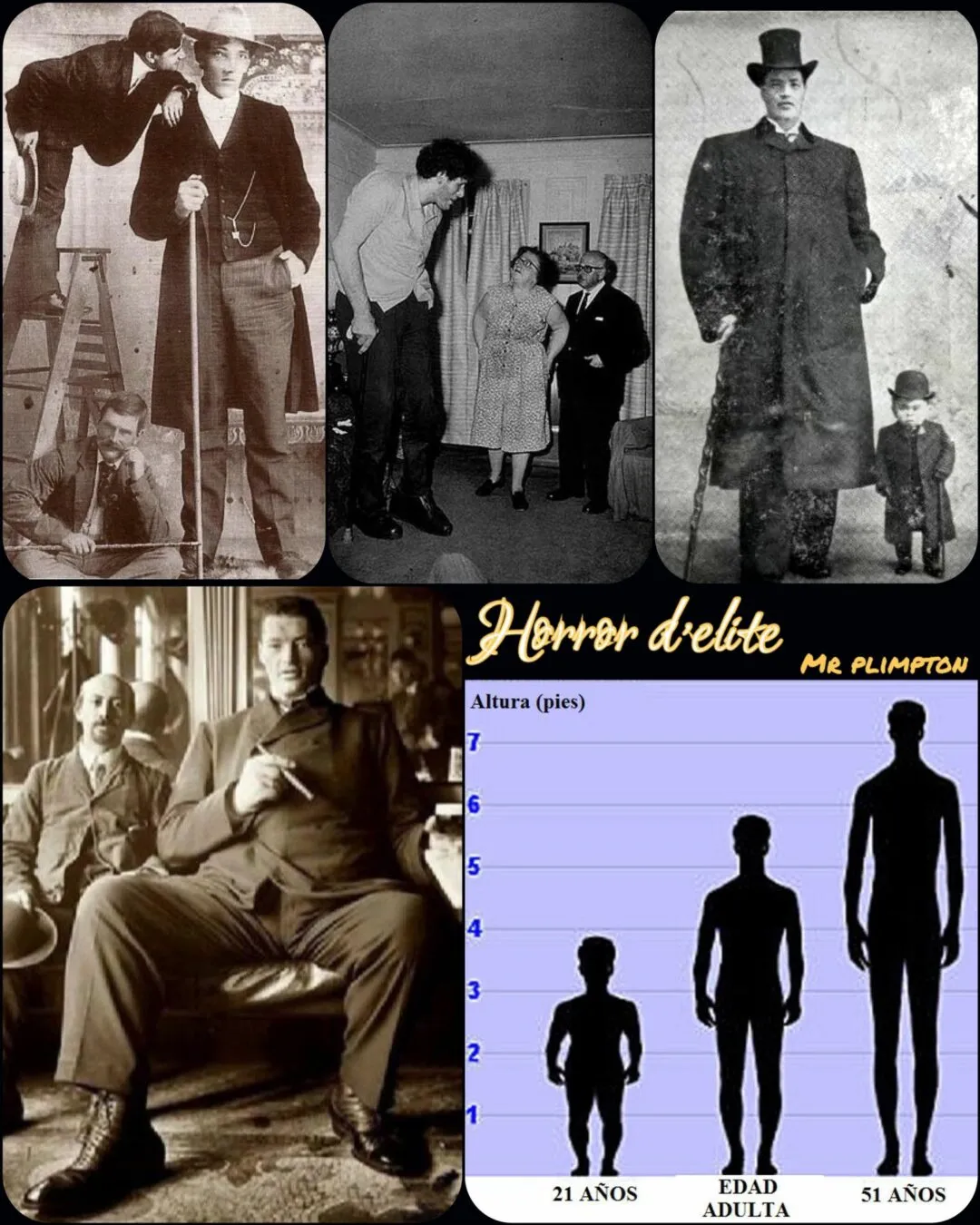 Adam Rainer - Horror d'Elite